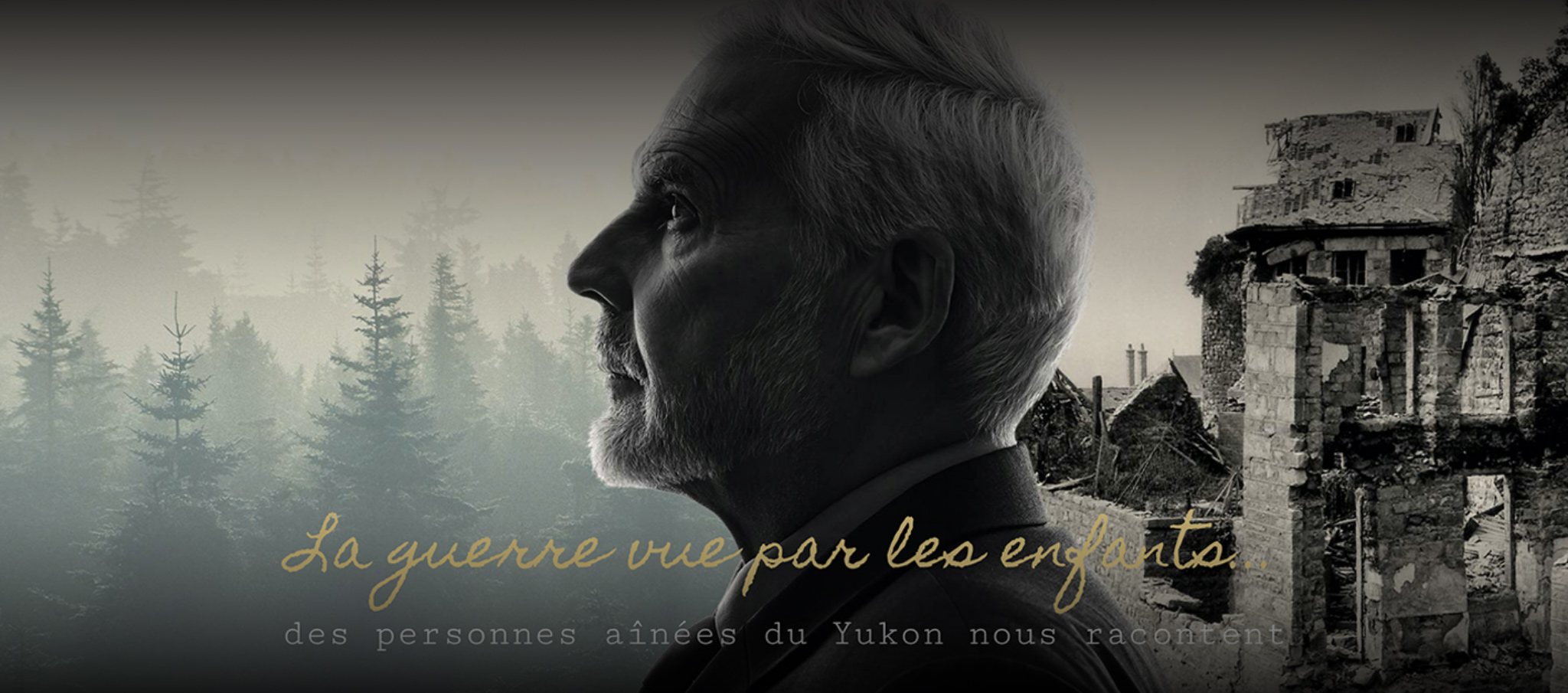 Helping northern brands shine since 1993